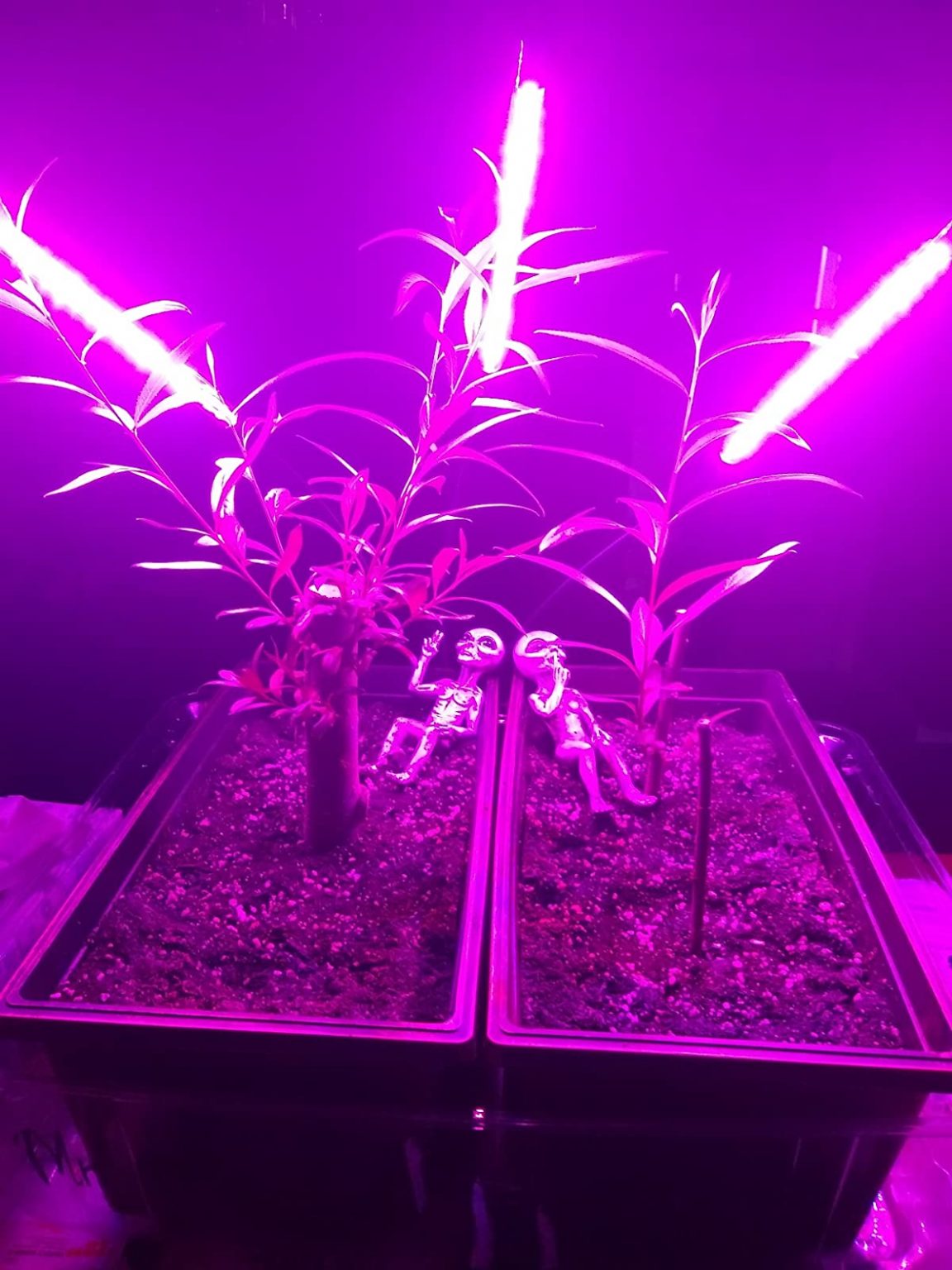 Protomont 3 Head LED UV Grow Light - protomont